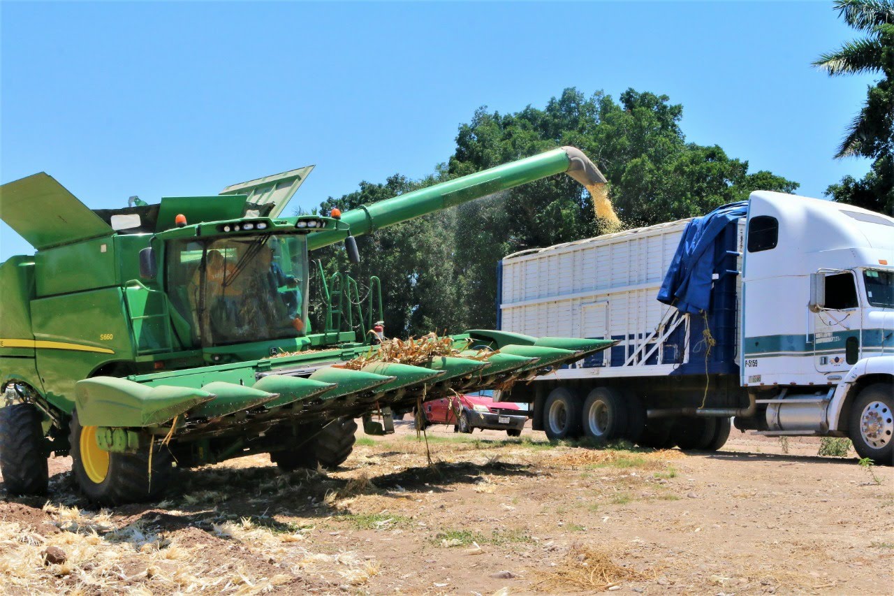JULIO BERDEGUÉ, MASECA Y MINSA AGRAVIAN A LOS PRODUCTORES AGRÍCOLAS - Politica Con Tambora